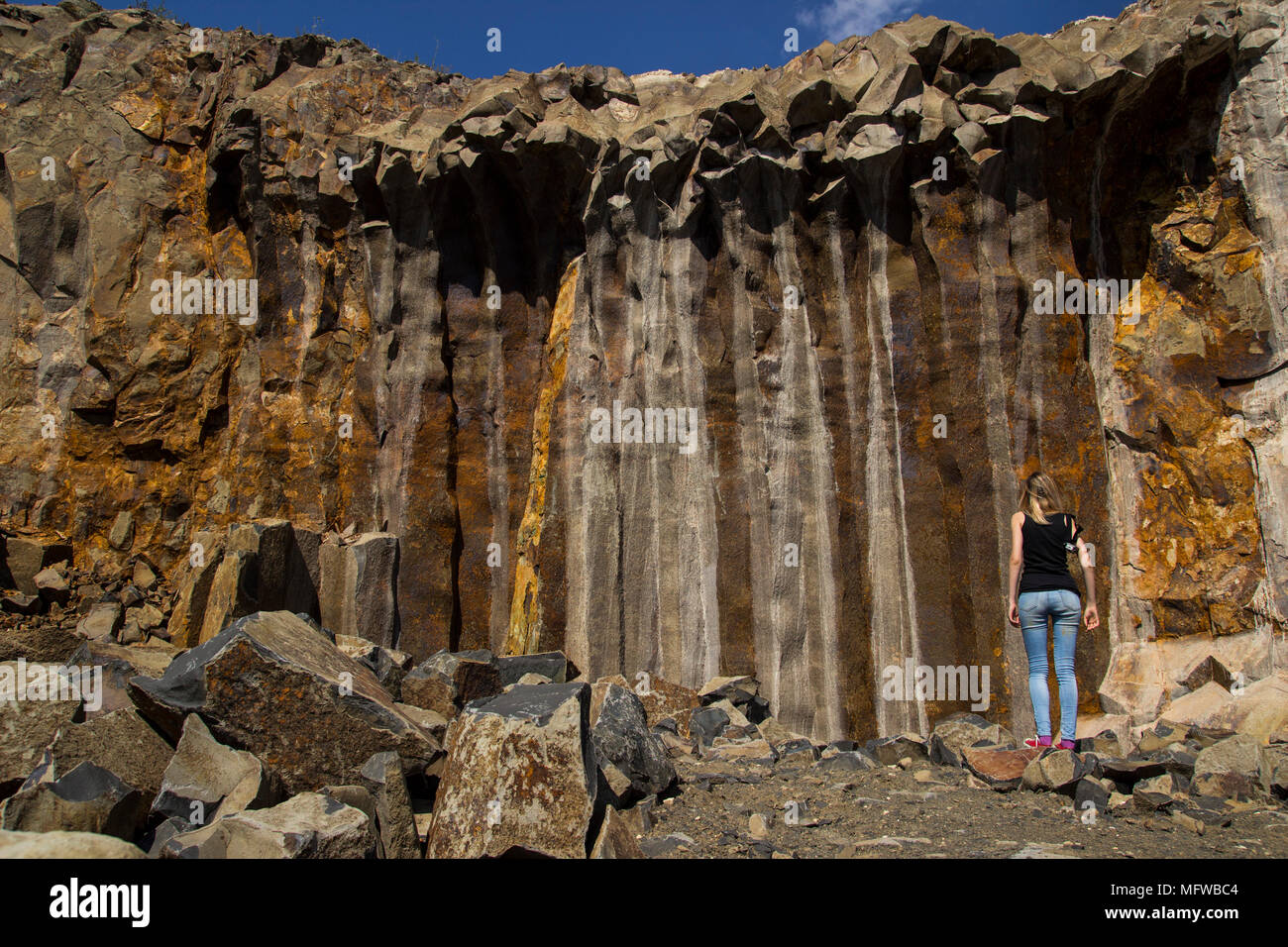 Large Scaleplant High Resolution Stock Photography and Images - Alamy