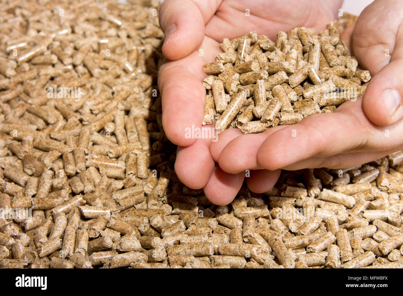 Wood pellets in hand close up .Biofuels. Biomass Pellets, from sawdust ...