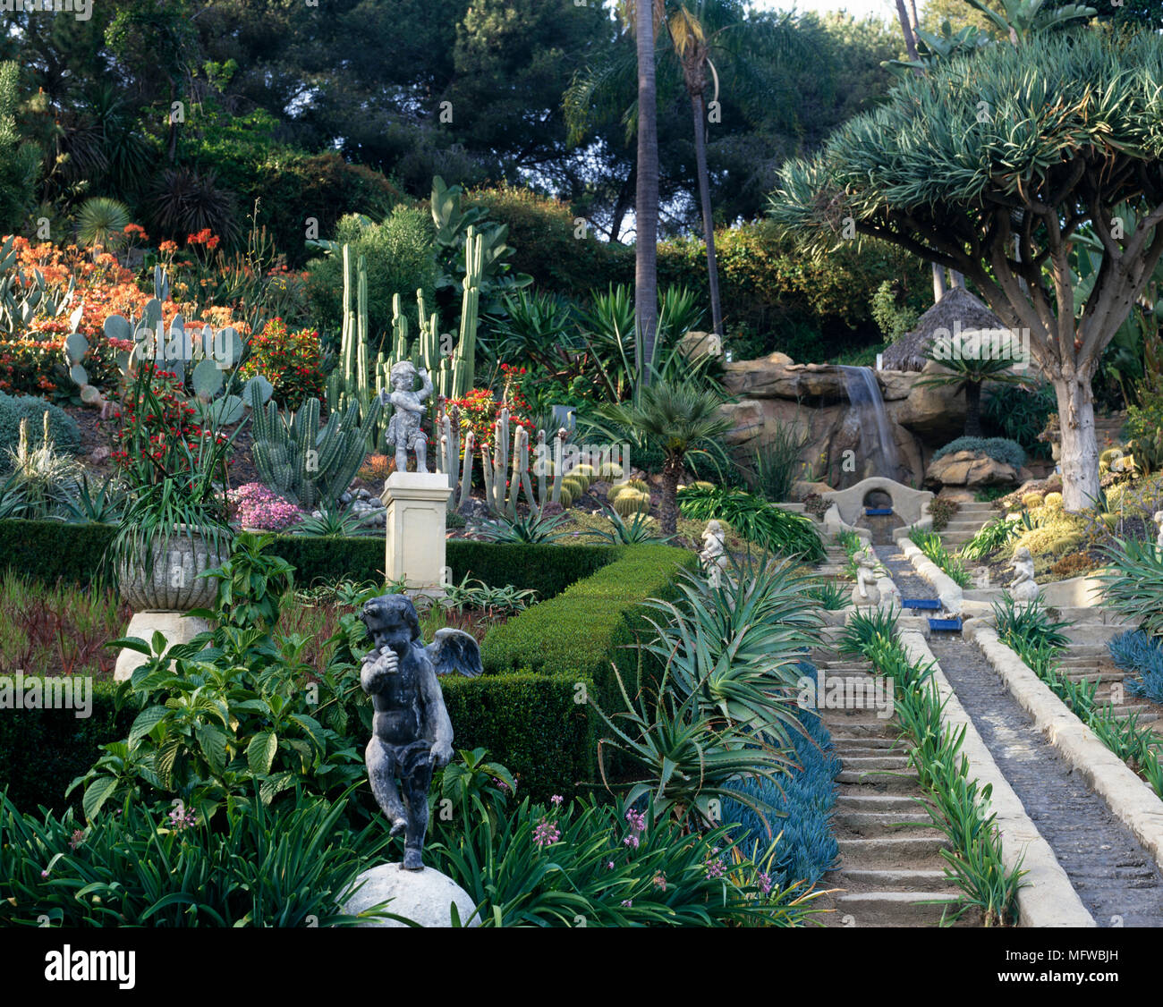 Terraced garden with tropical and exotic planting Stock Photo - Alamy