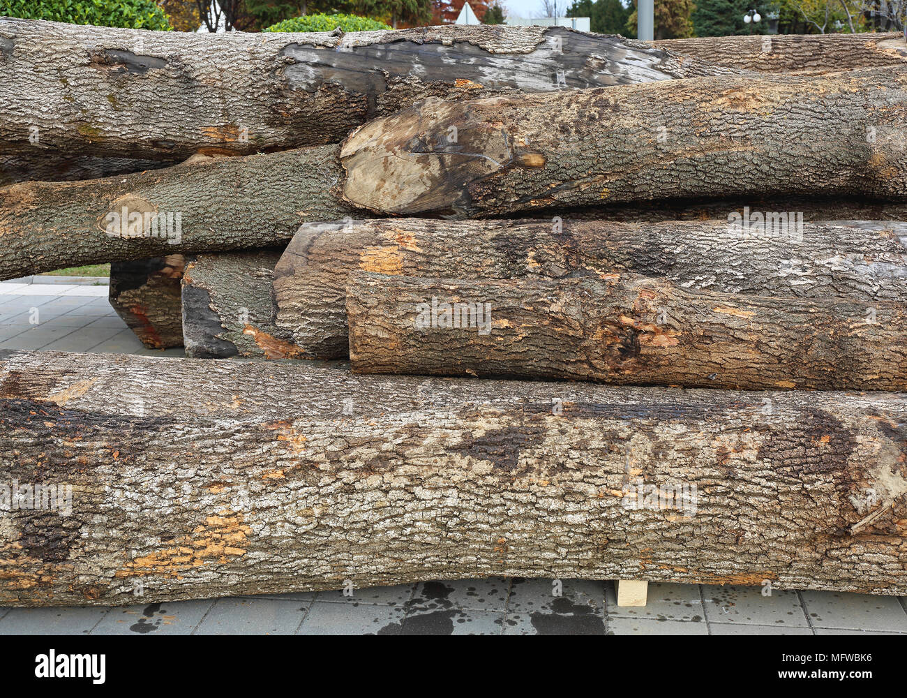 Big pile of wood hi-res stock photography and images - Alamy