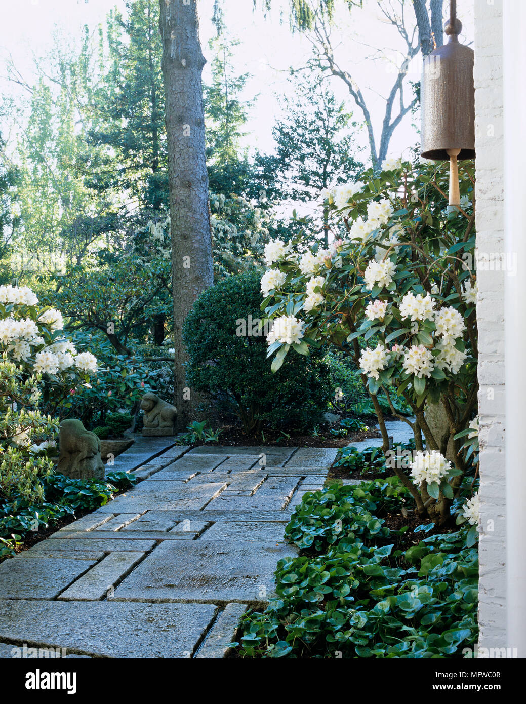 White flowers in border either side of paved pathway Stock Photo - Alamy