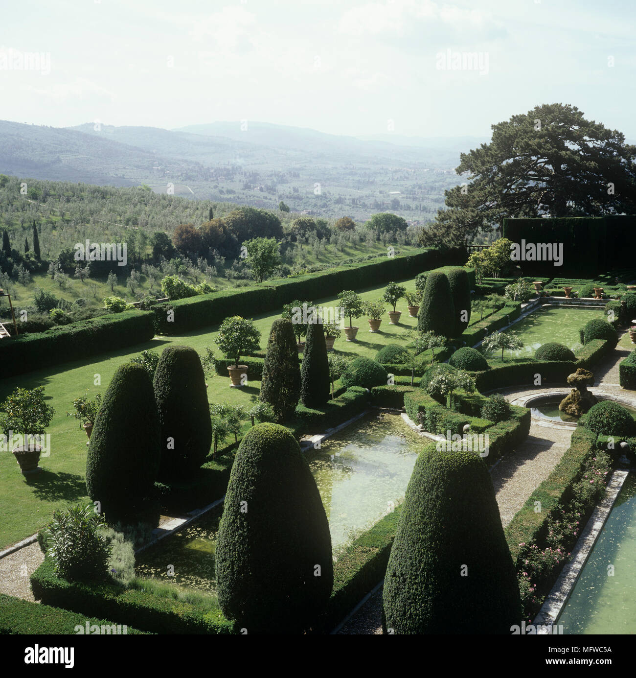 Formal garden with topiary and hedges dissected by a garden path and ...
