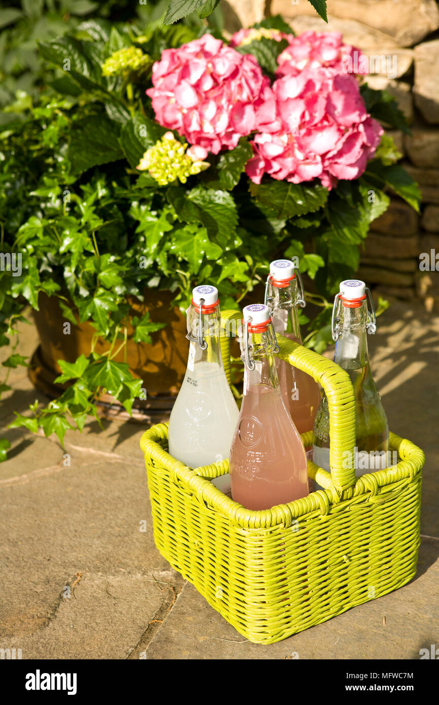 Bottles of drink in cane bottle carrier Stock Photo - Alamy