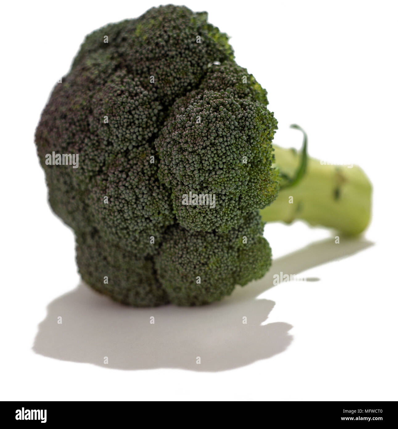 Wm0003900000 hi-res stock photography and images - Alamy