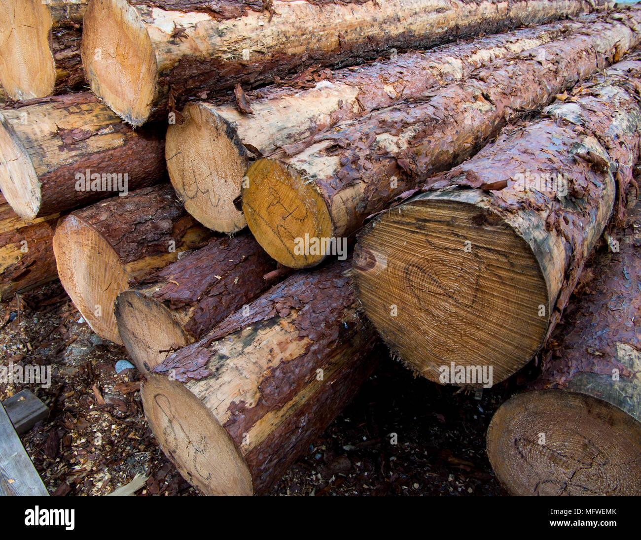 Fresh logs hi-res stock photography and images - Alamy