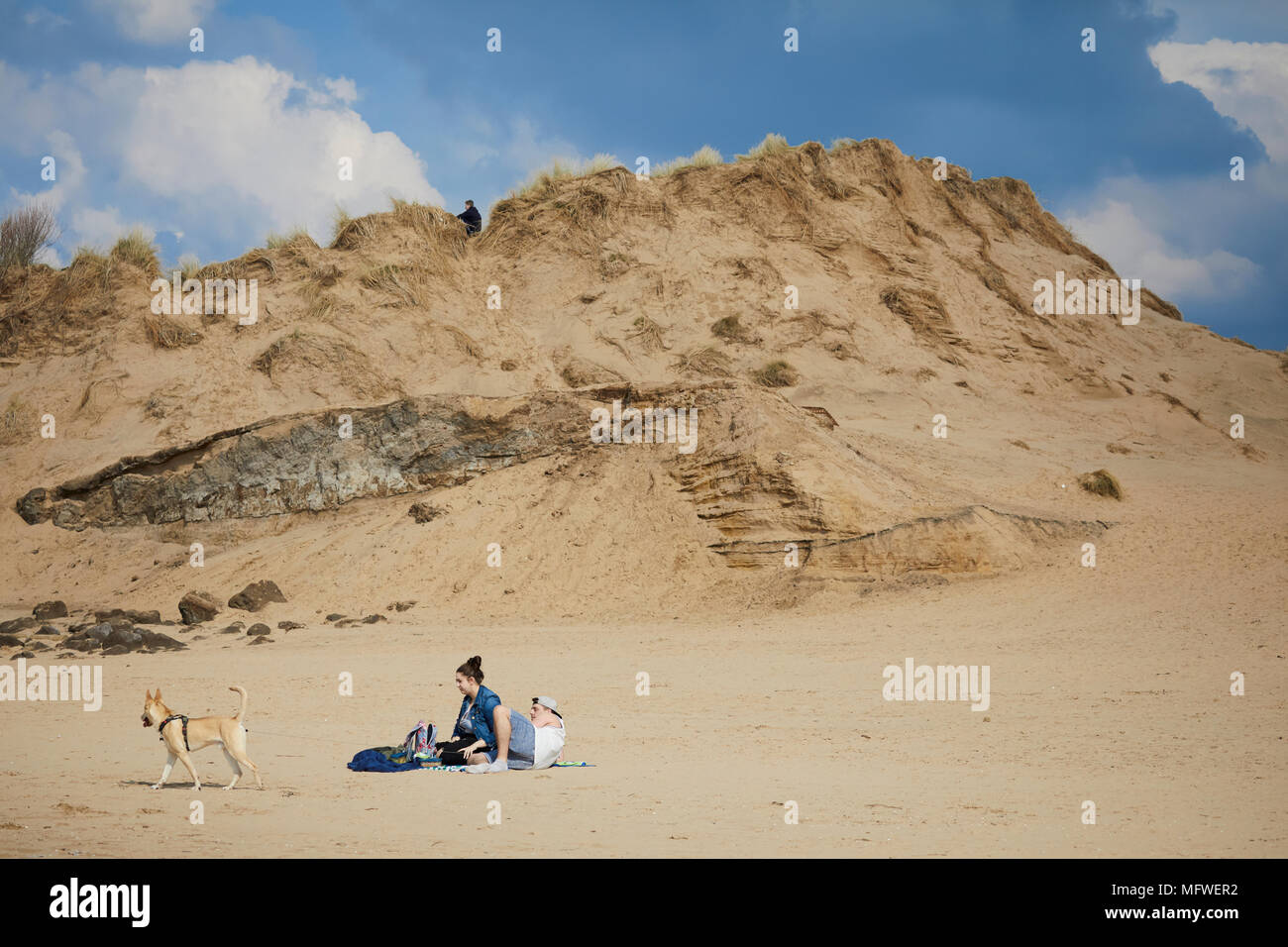 Formby, Borough of Sefton, Merseyside, England. sand dunes on the ...