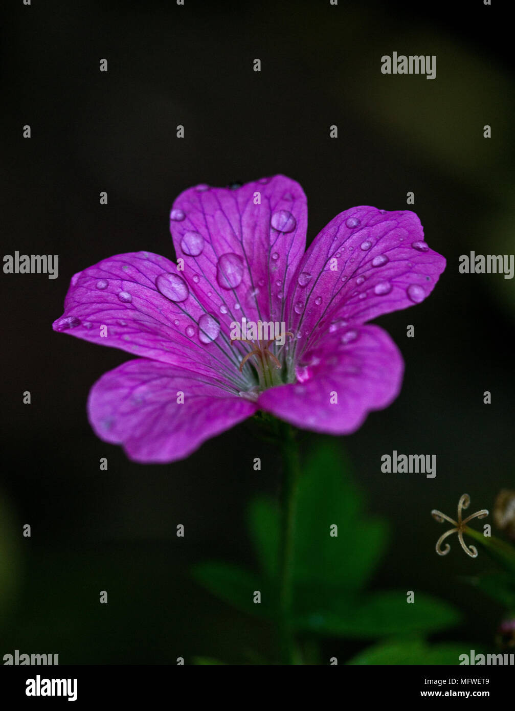 Calming colours hi-res stock photography and images - Alamy