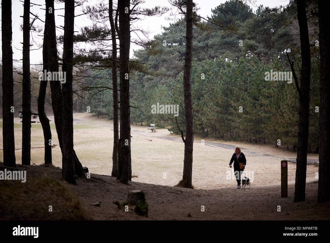 Freshfield Squirrel Reserve High Resolution Stock Photography and ...