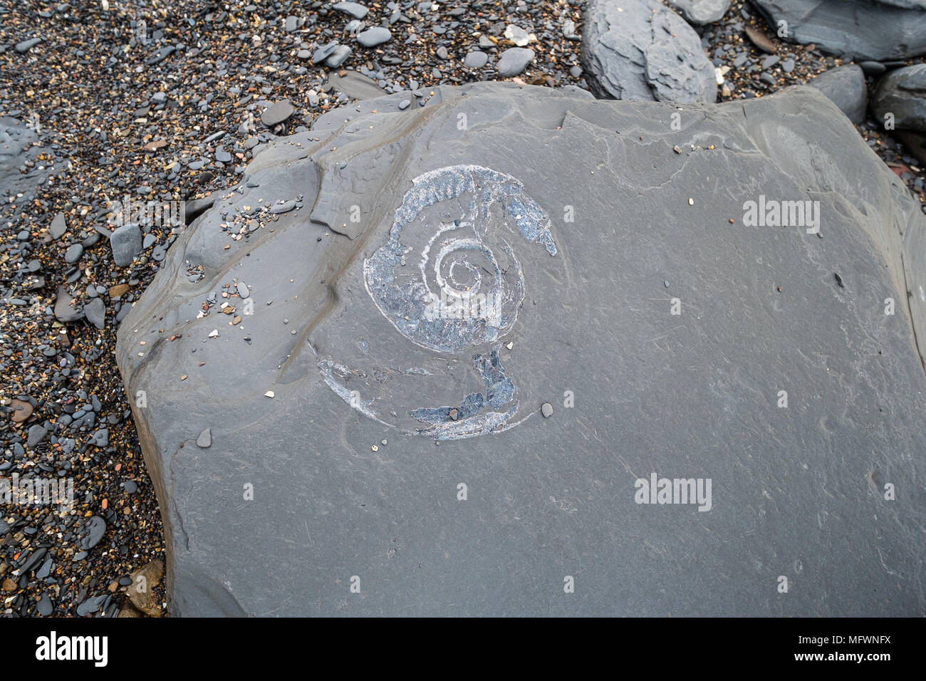 Layers of history hi-res stock photography and images - Alamy