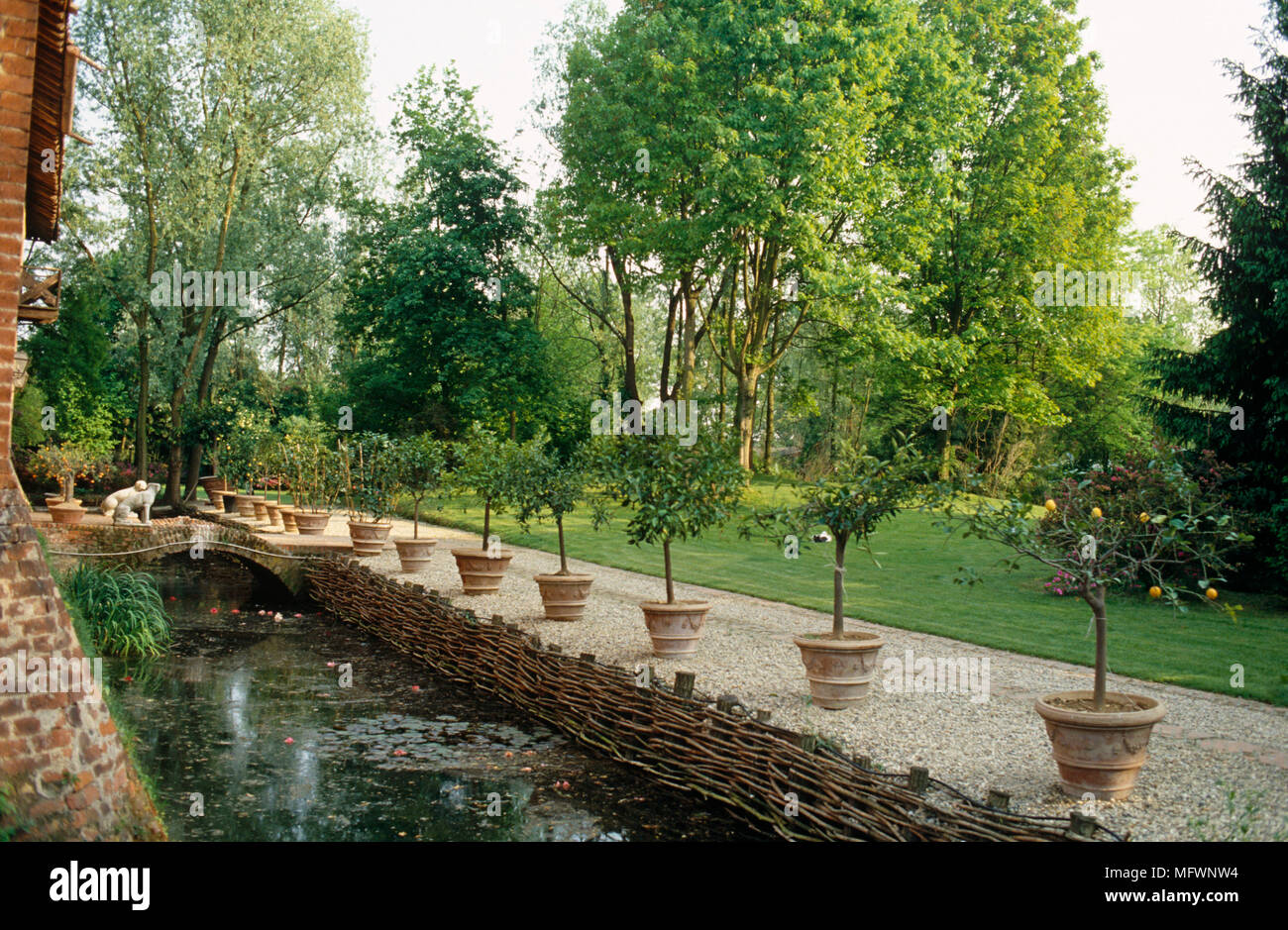 Pond with woven wooden border lined with pot plants Stock Photo - Alamy