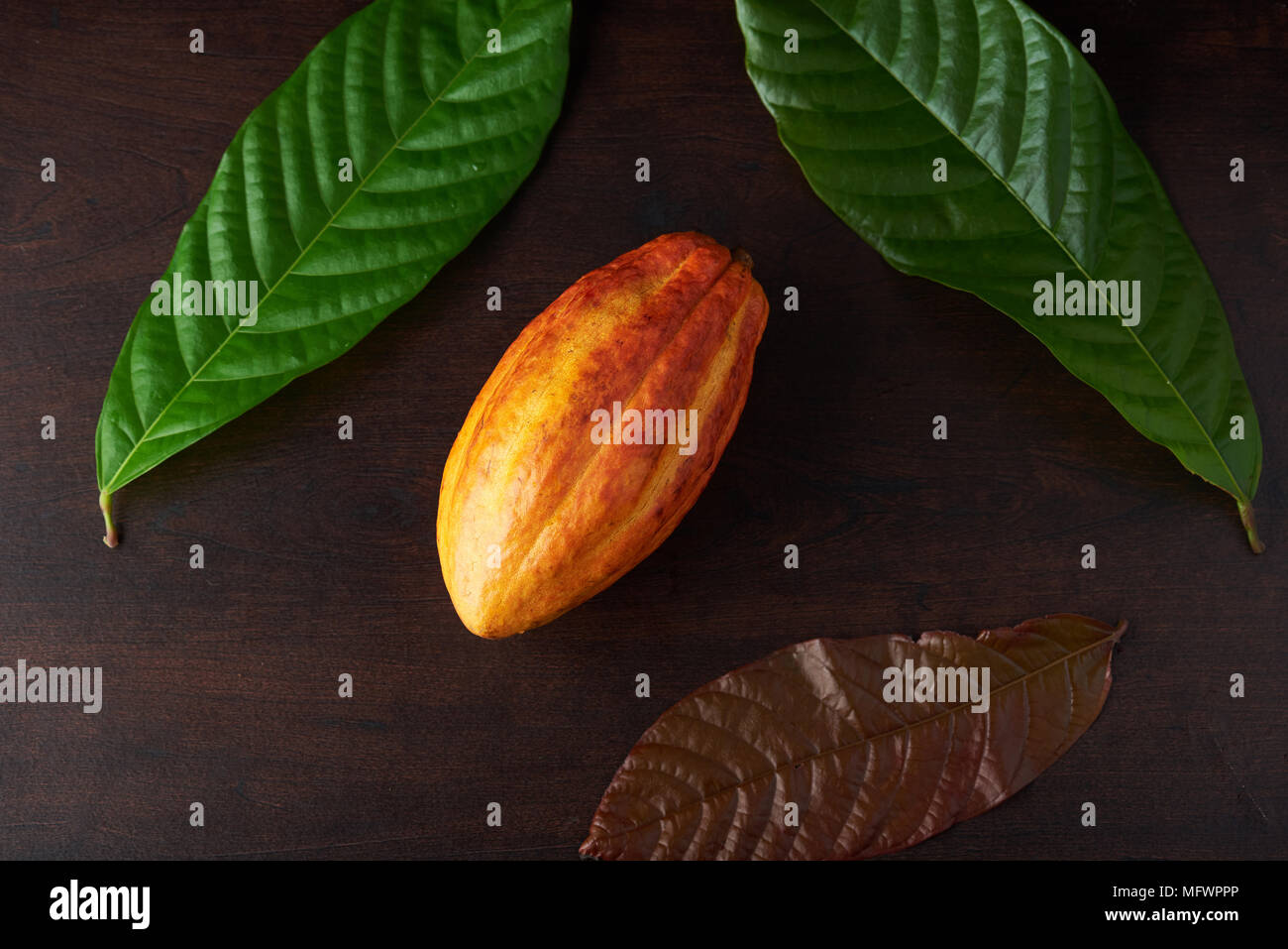 Colorful green and orange color cacao ingredients Stock Photo - Alamy