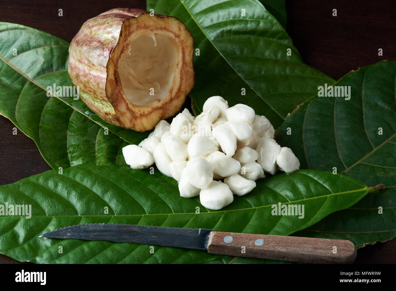 Cocoa beans nature background hi-res stock photography and images - Alamy