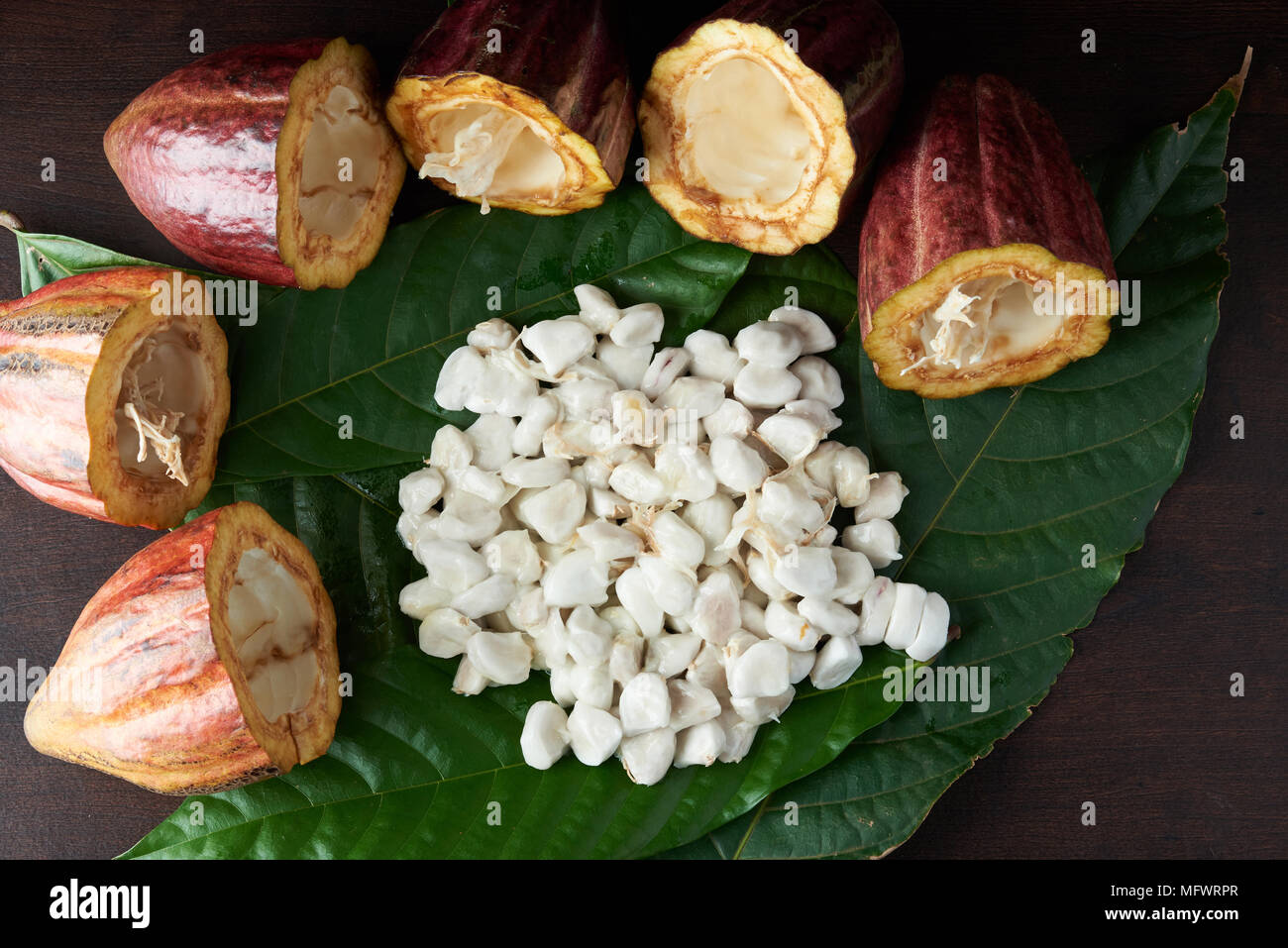 Cocoa agriculture background. Open cacao pods on wooden table Stock ...