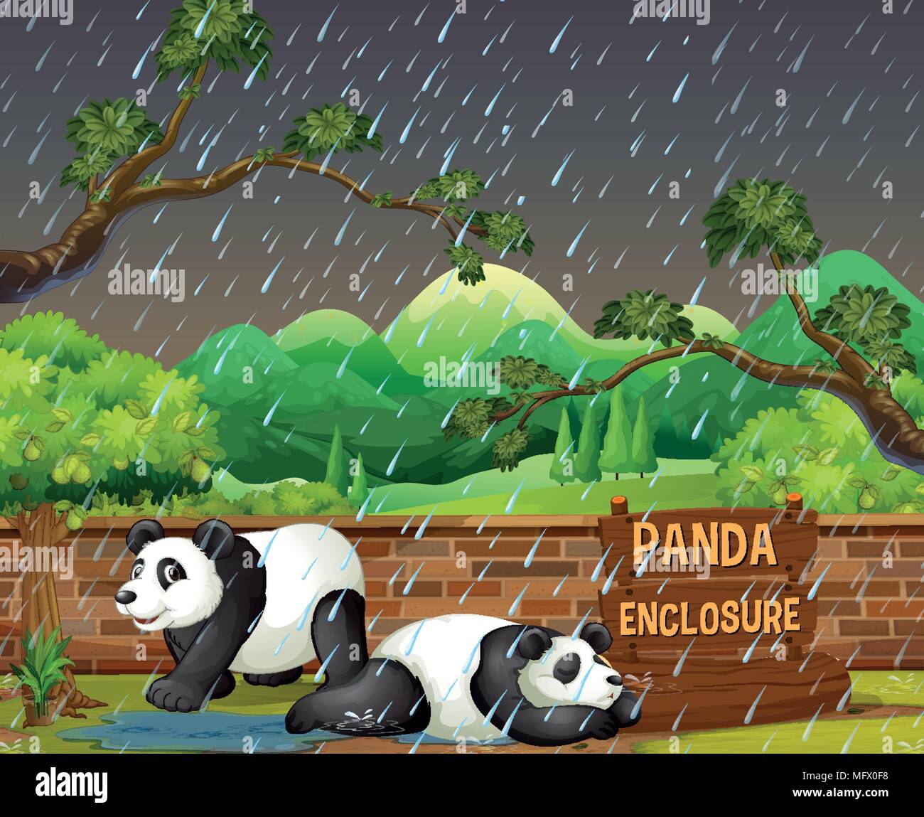 Panda in Zoo in Raining Night illustration Stock Vector Image & Art - Alamy