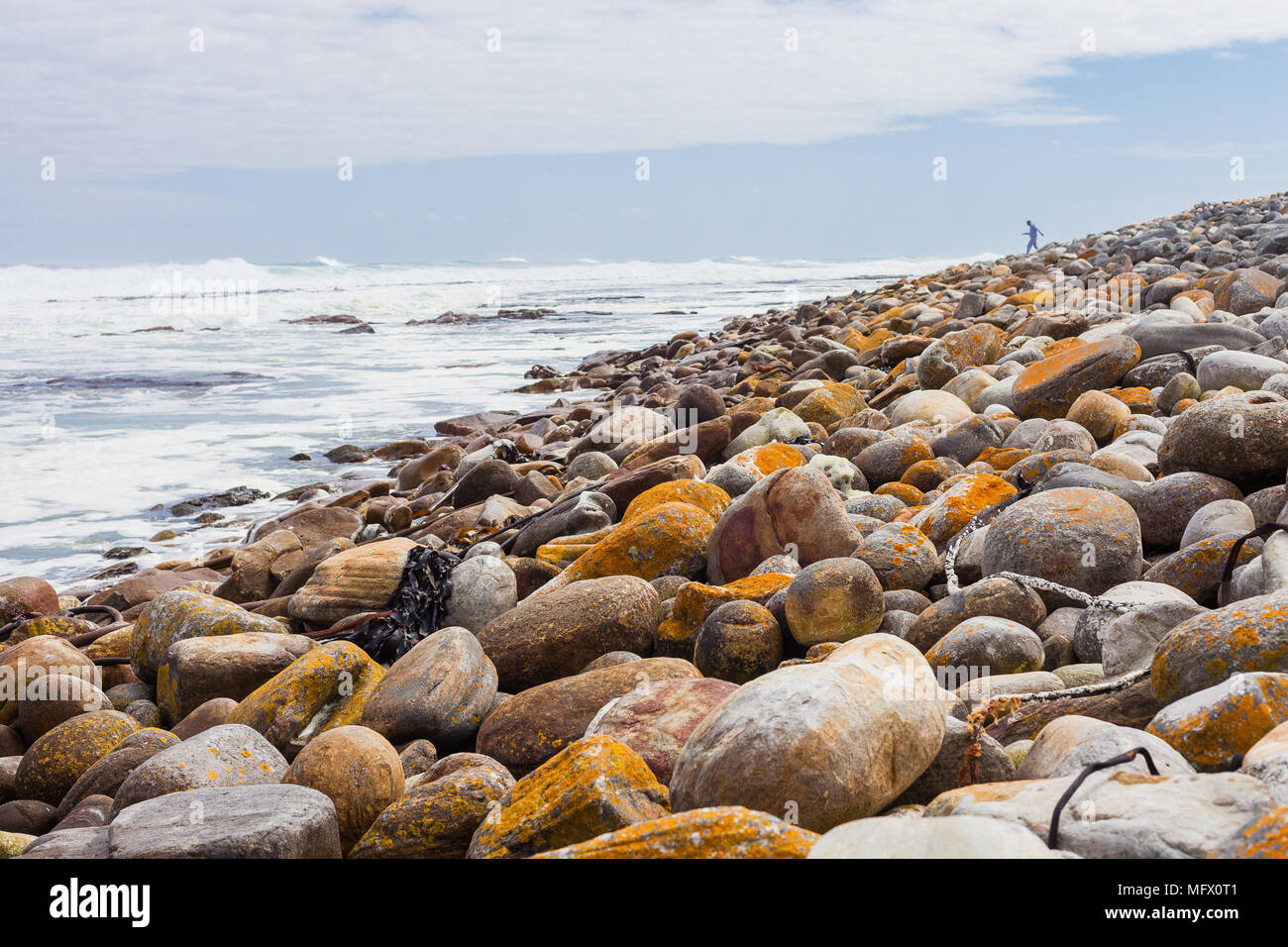 African wind windy shoreline coast hi-res stock photography and images ...