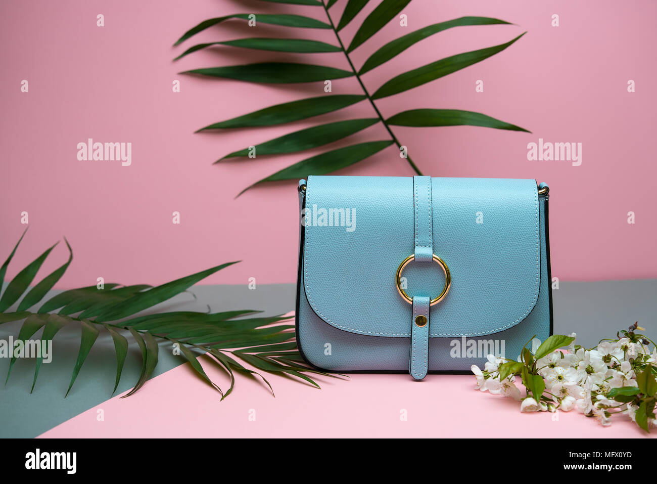 Female leather bag Stock Photo - Alamy