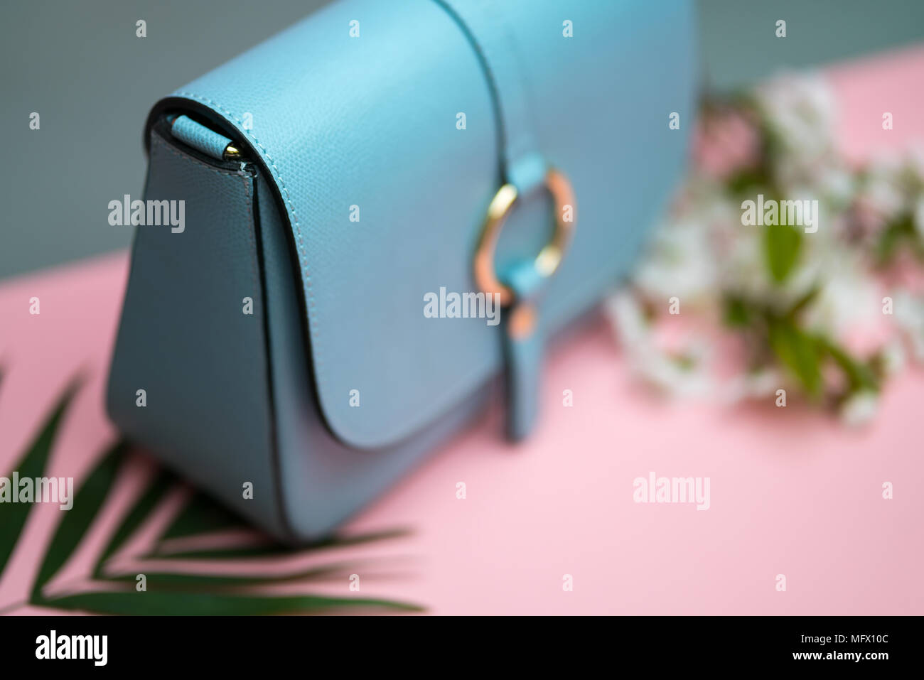 Female leather bag Stock Photo - Alamy