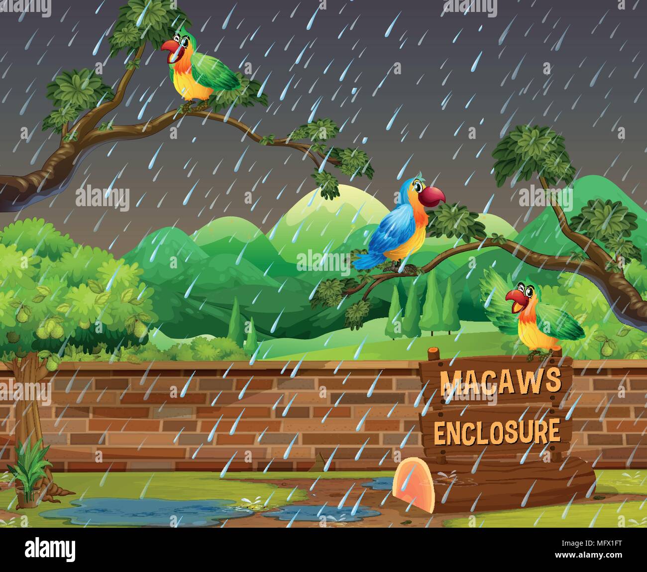 Happy Macaws in the Zoo at Night illustration Stock Vector Image & Art ...