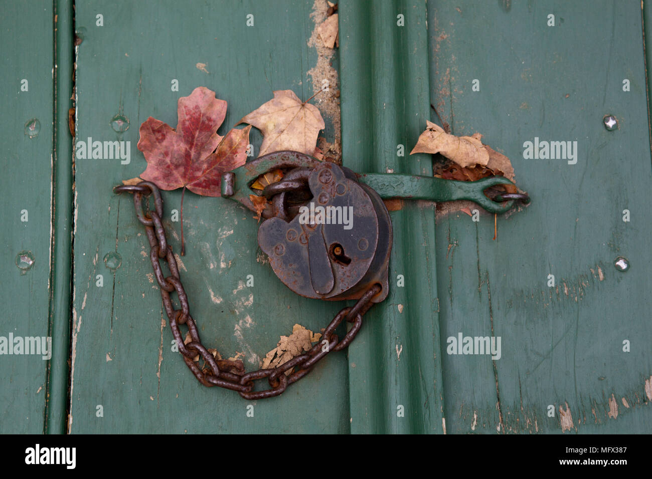 Antique lock and chain on an early American barn door in Colonial ...