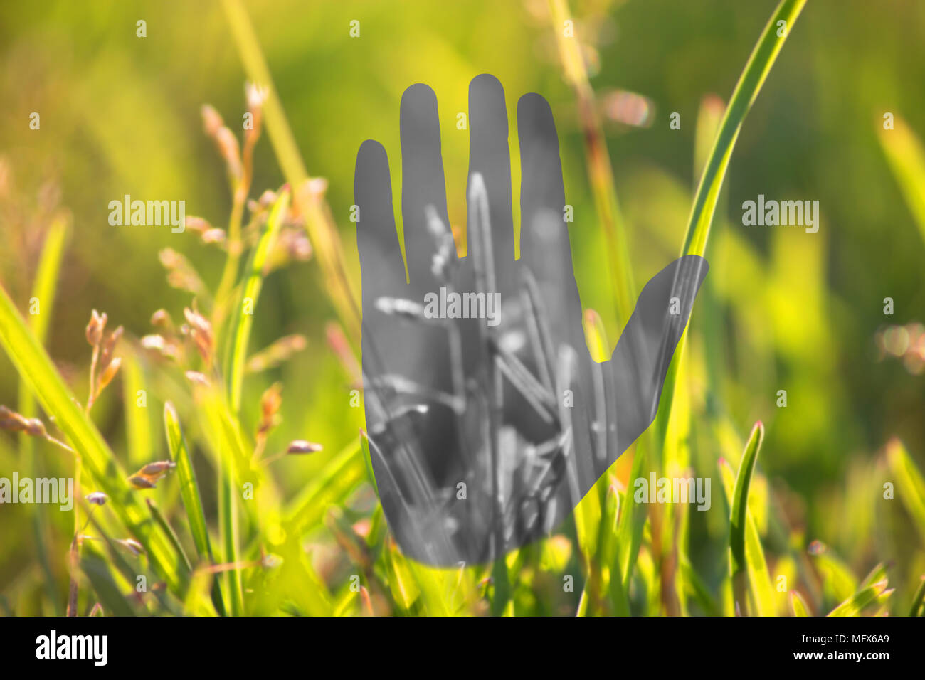 eco print concept. grey hand print on green background Stock Photo - Alamy