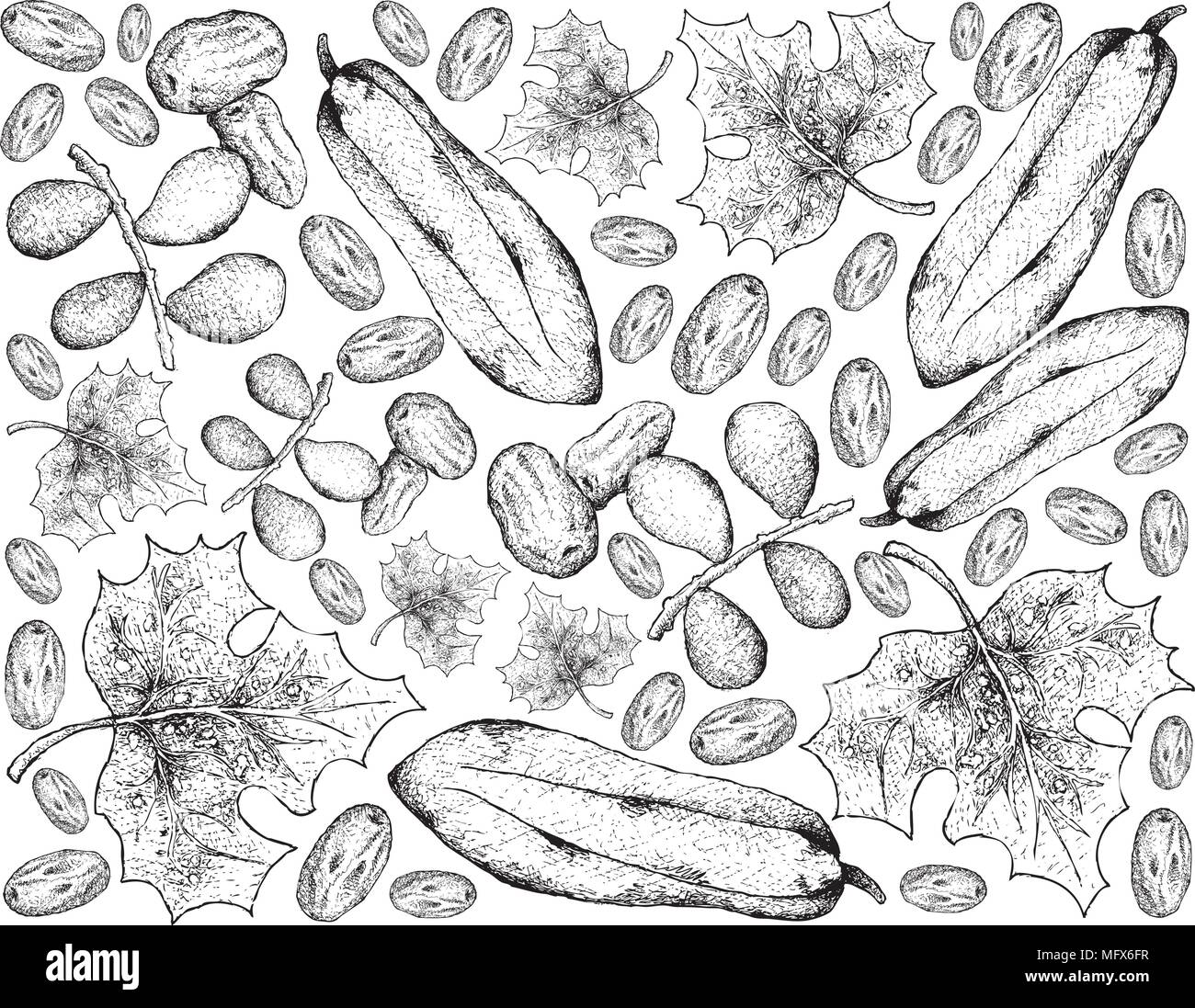 Mountain papaya Stock Vector Images - Alamy