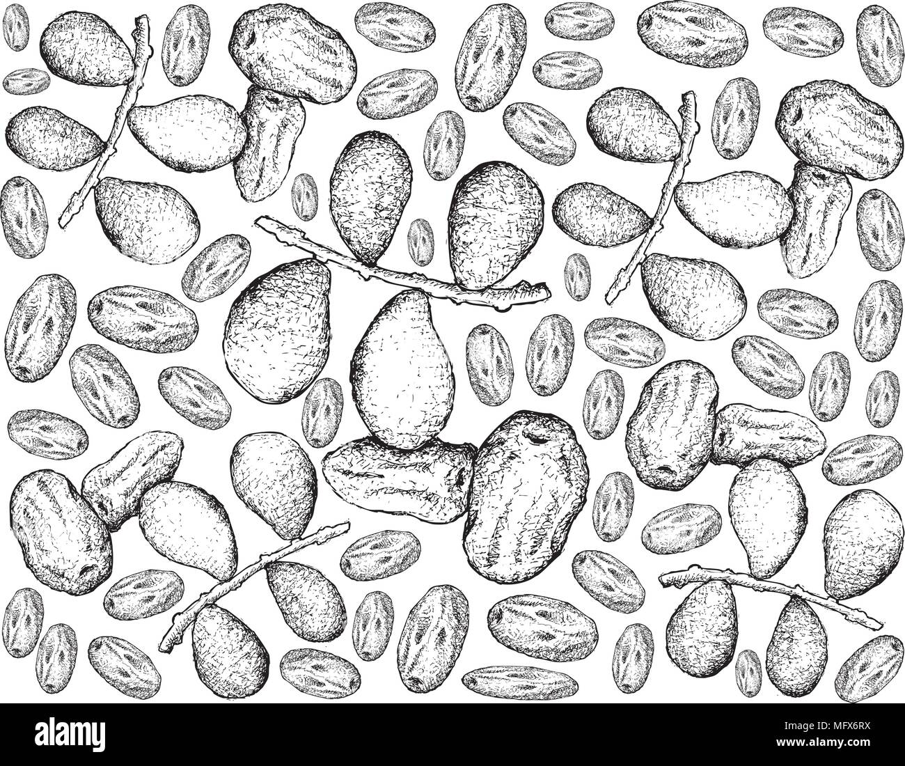 Tropical Fruits, Illustration Wallpaper Background of Hand Drawn Sketch ...