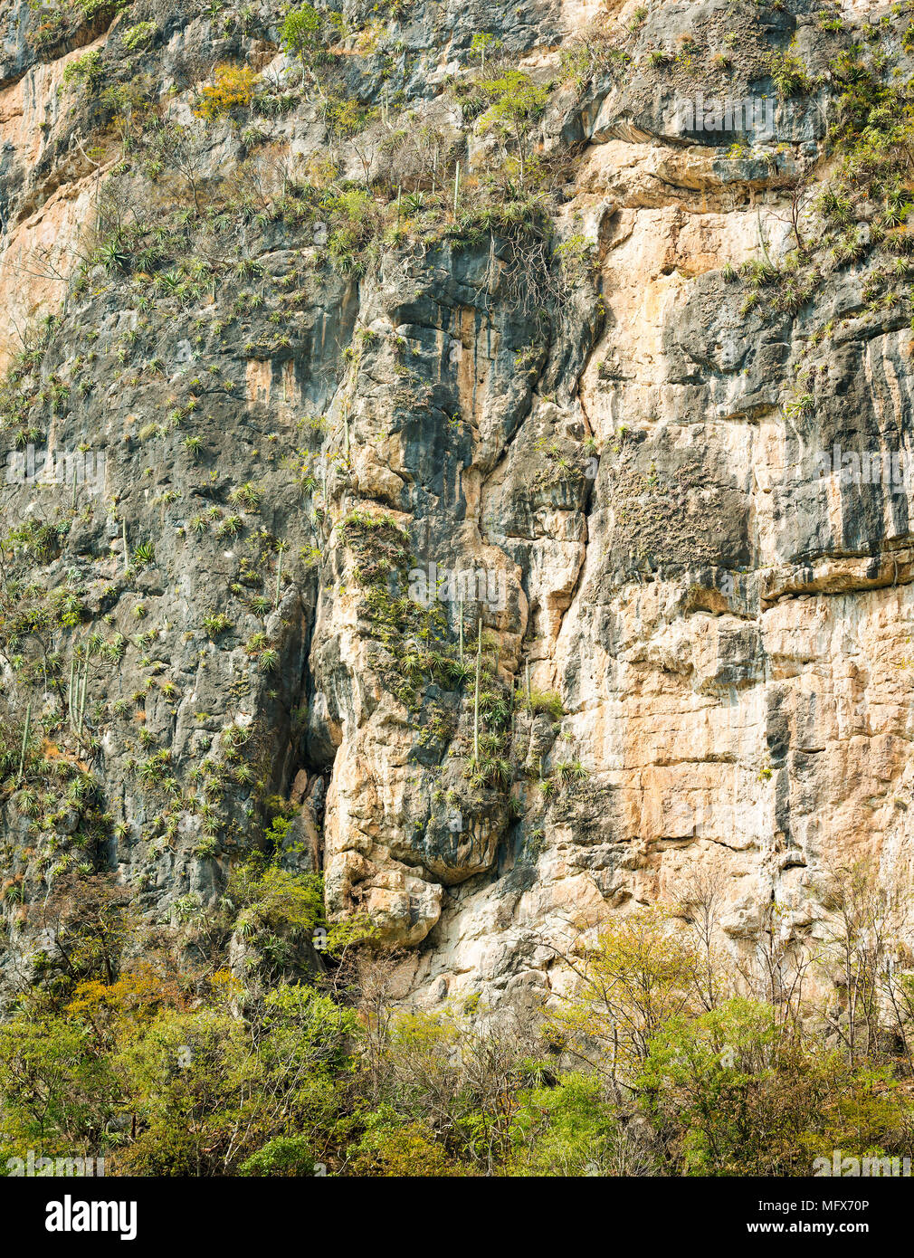 Limestone cliff wall in Sumidero Canyon Chiapas, Mexico Stock Photo - Alamy