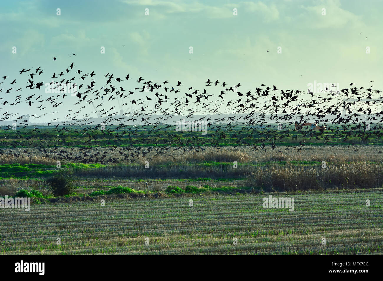 Flying landscapes hi-res stock photography and images - Alamy