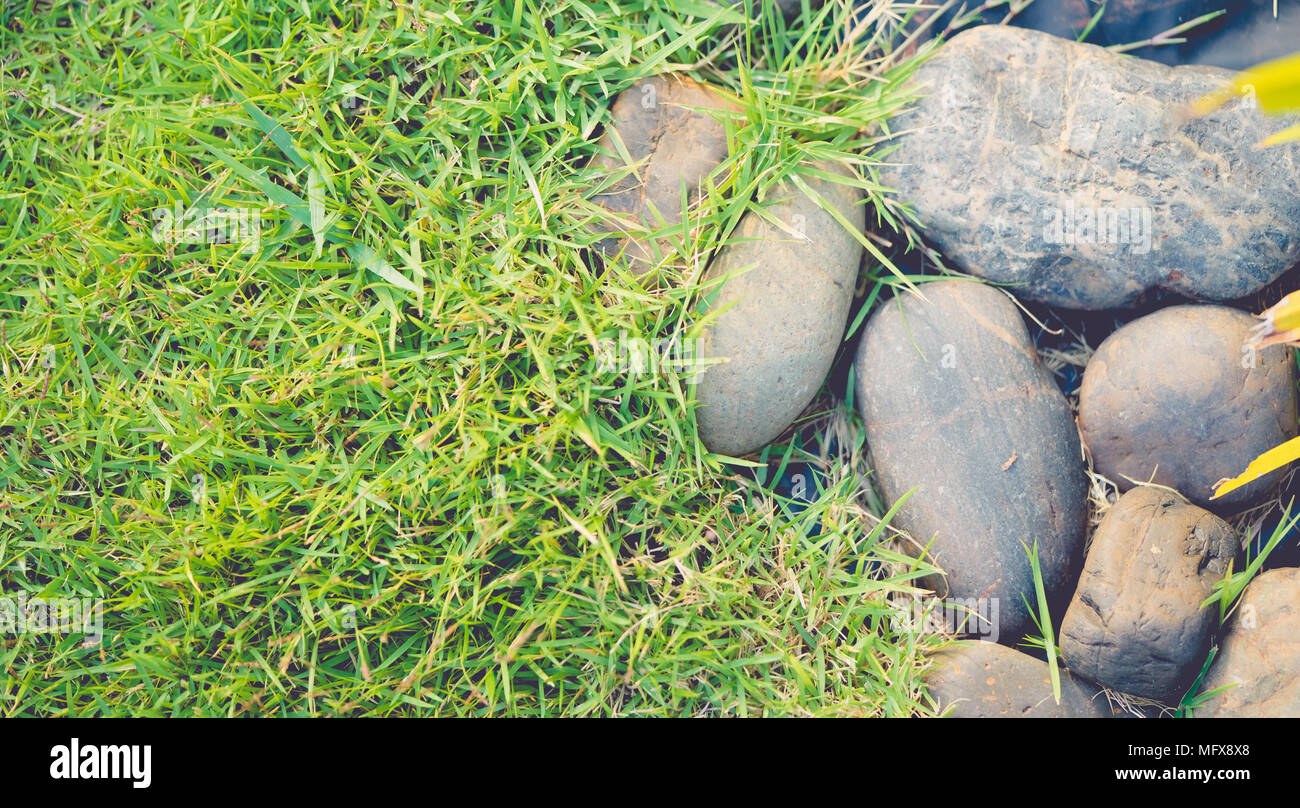 rocky,stone texture and green grass Stock Photo - Alamy