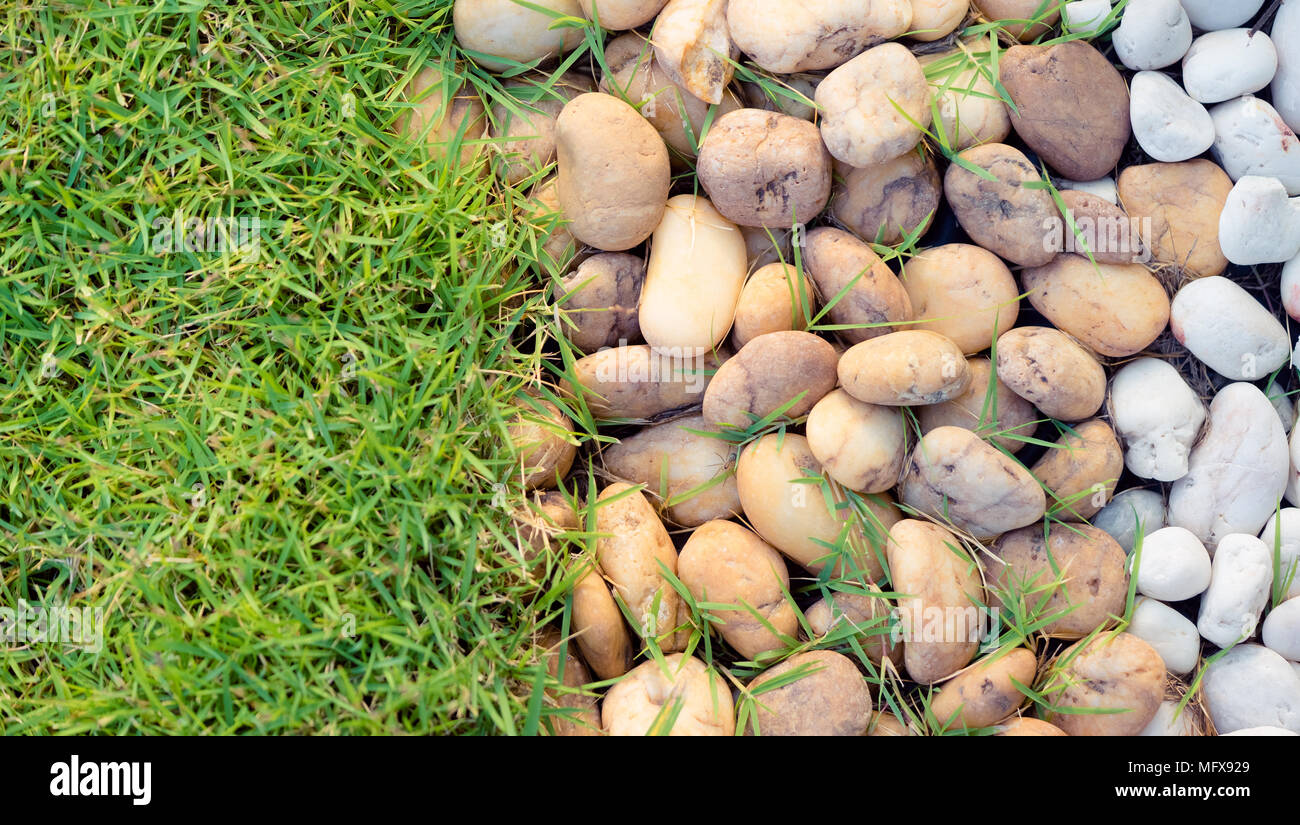rocky,stone texture and green grass Stock Photo - Alamy