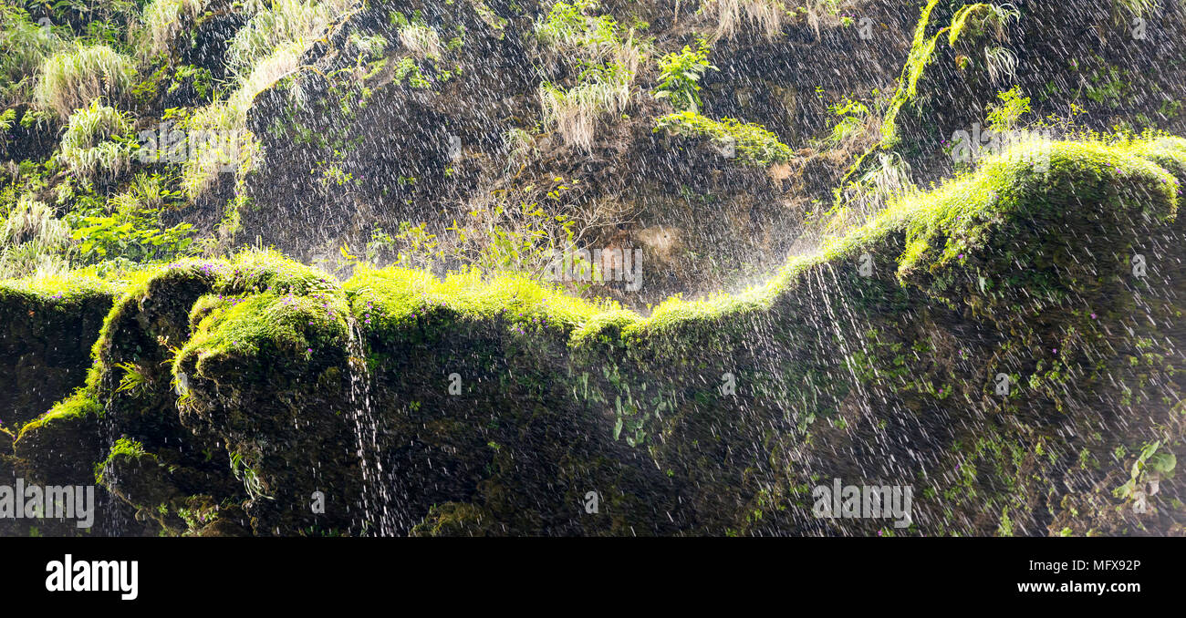 Green moss waterfall as a natural abstract background Stock Photo - Alamy