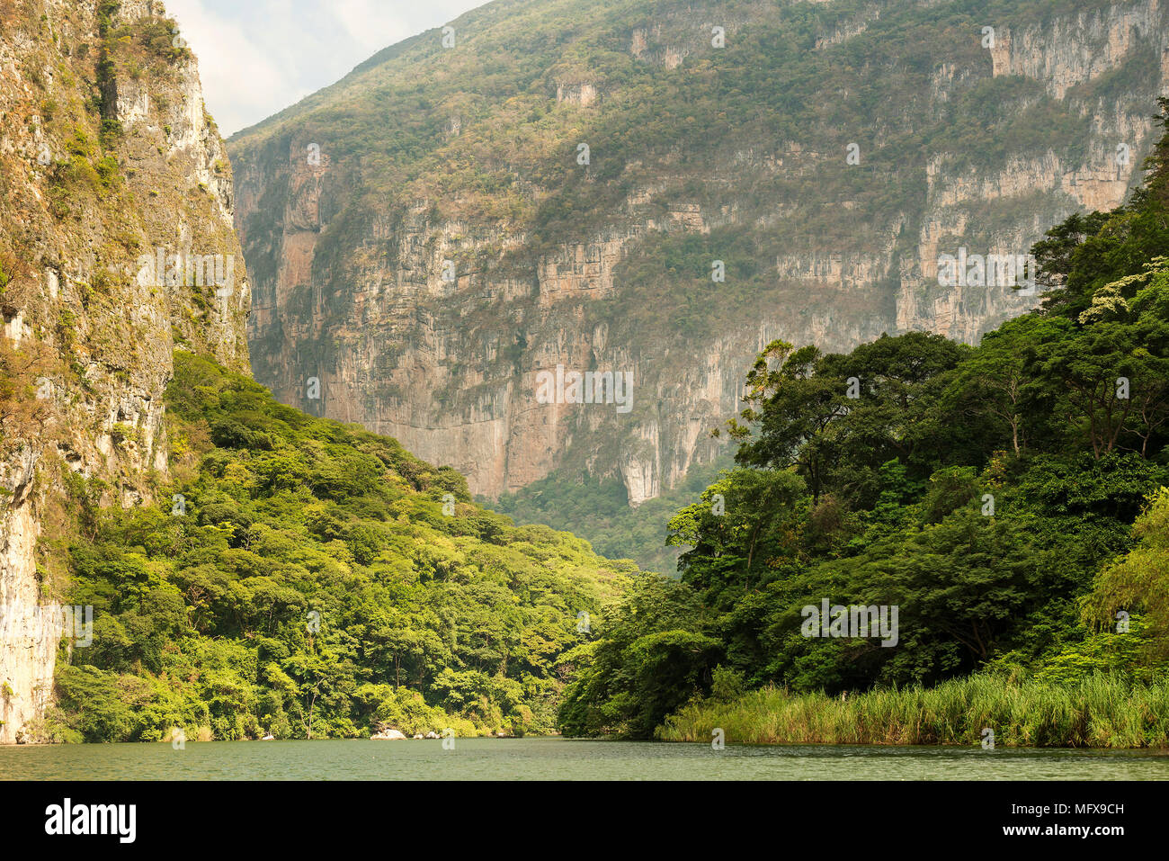 Mexico chiapas river landscape hi-res stock photography and images - Alamy