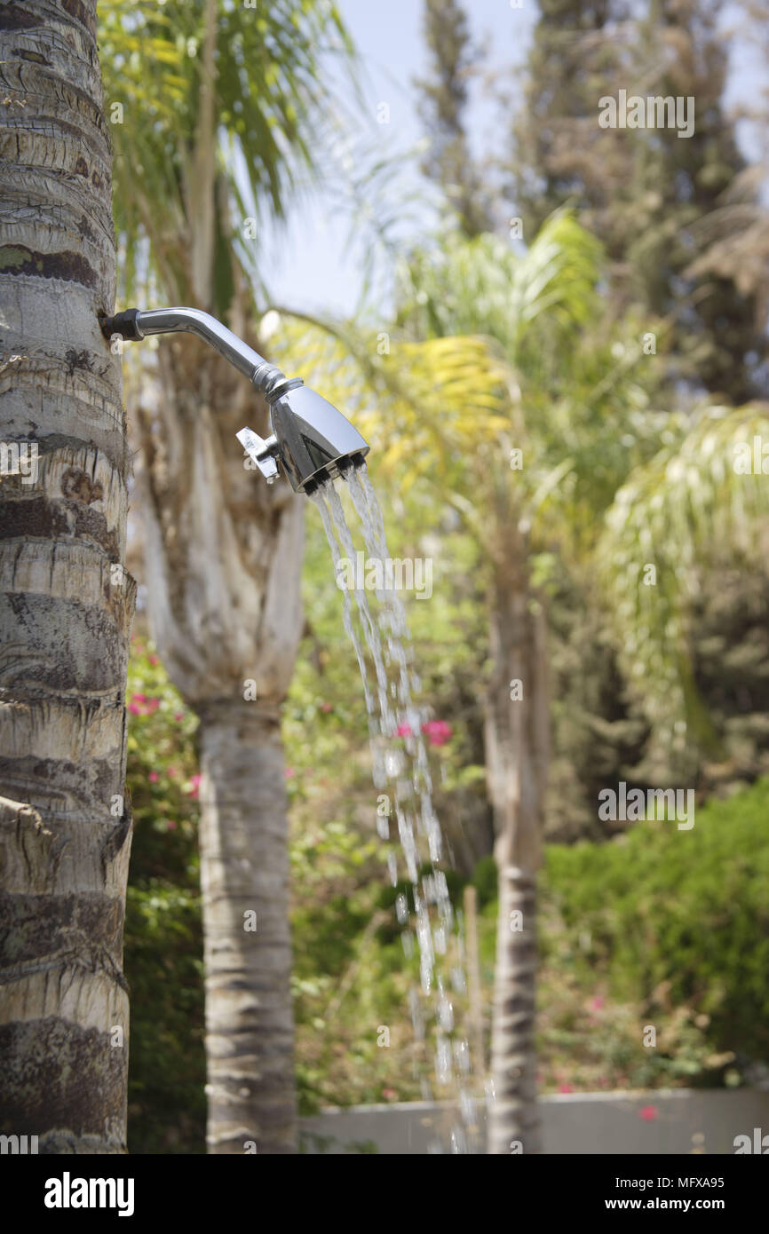 Water running from outdoor shower head affixed to tree Stock Photo - Alamy