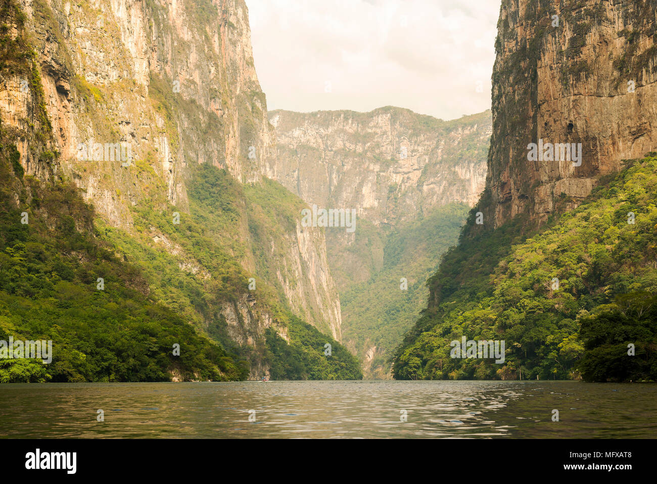 Sumidero Canyon Chiapas, Mexico with massive canyon walls Stock Photo ...