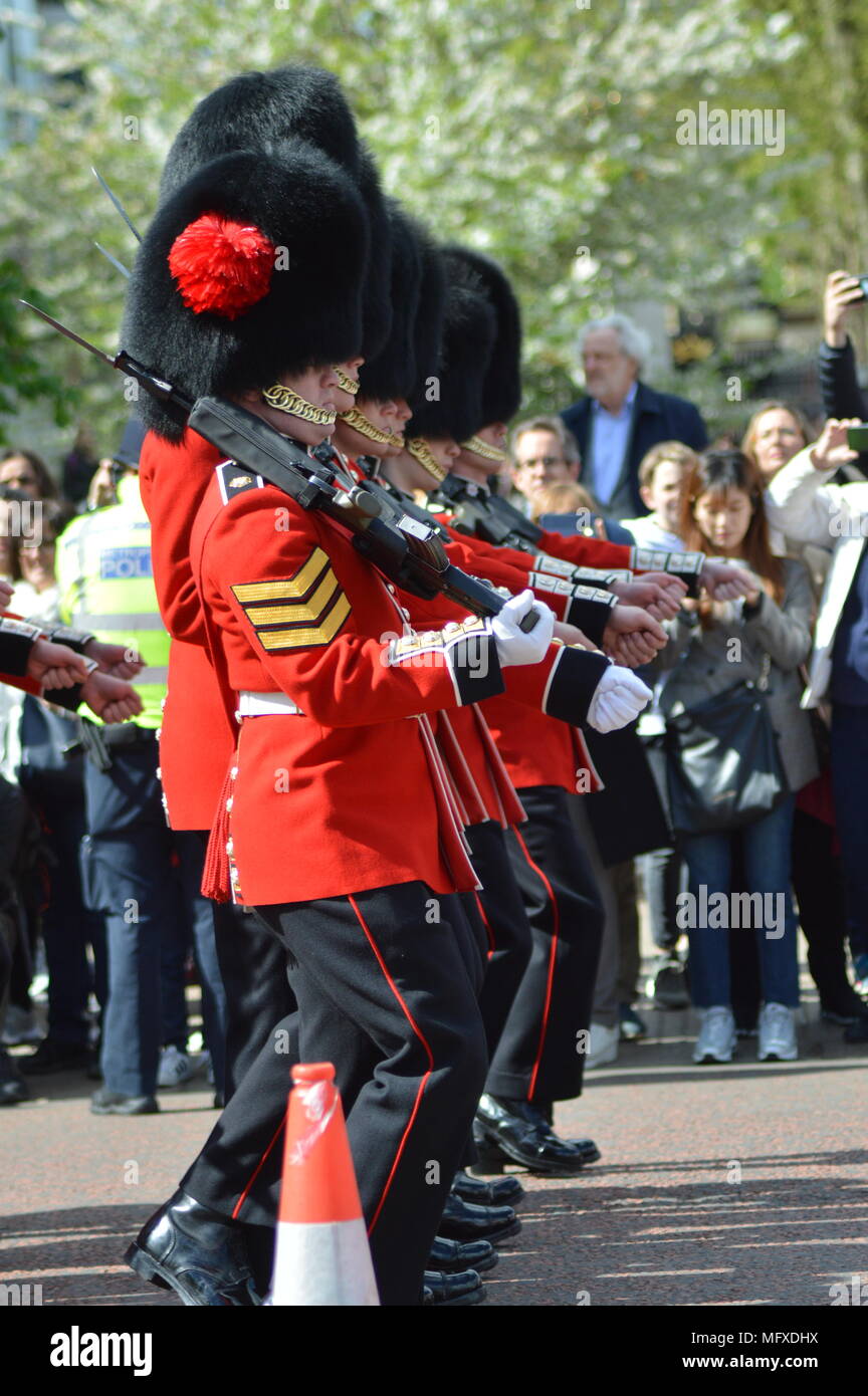 7 Company Coldstream Guards with the Band of The Royal Regiment of ...