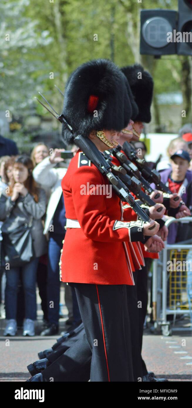 7 Company Coldstream Guards with the Band of The Royal Regiment of ...
