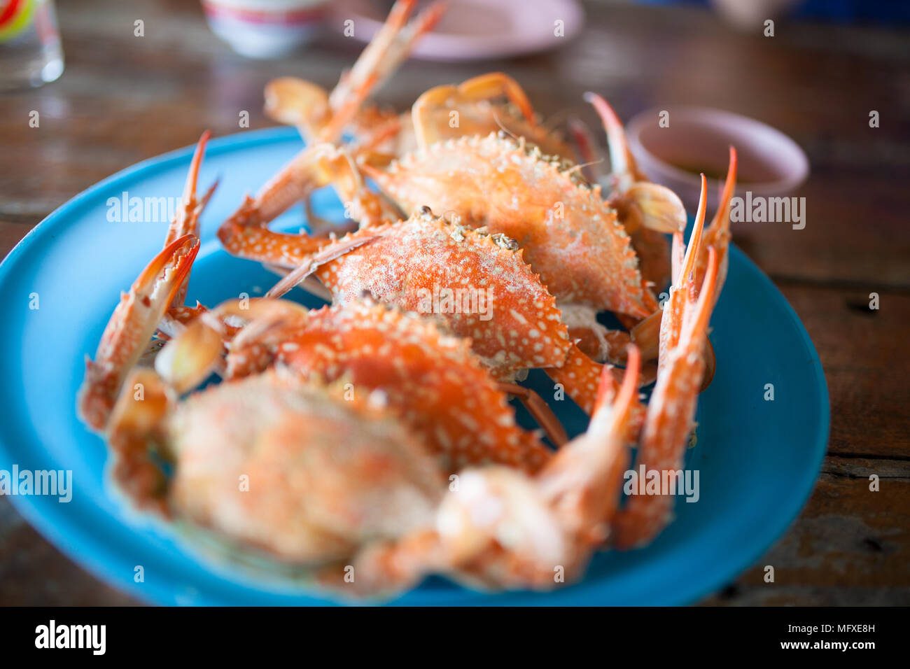 Nipper crabs hi-res stock photography and images - Alamy