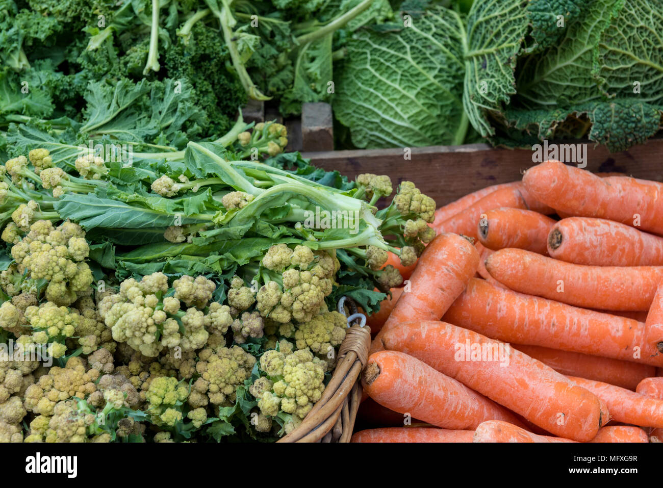 a selection of fresh vegetables including carrots and cabbages with ...
