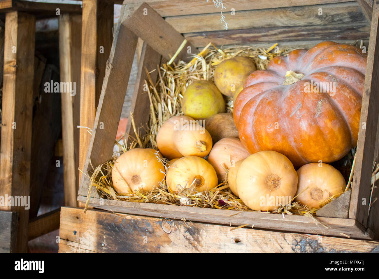 Traditional wooden farmer boxes with friuts and vegetables Stock Photo ...