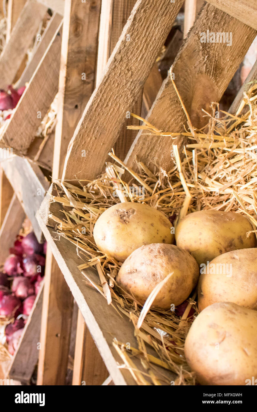Traditional wooden farmer boxes with friuts and vegetables Stock Photo ...