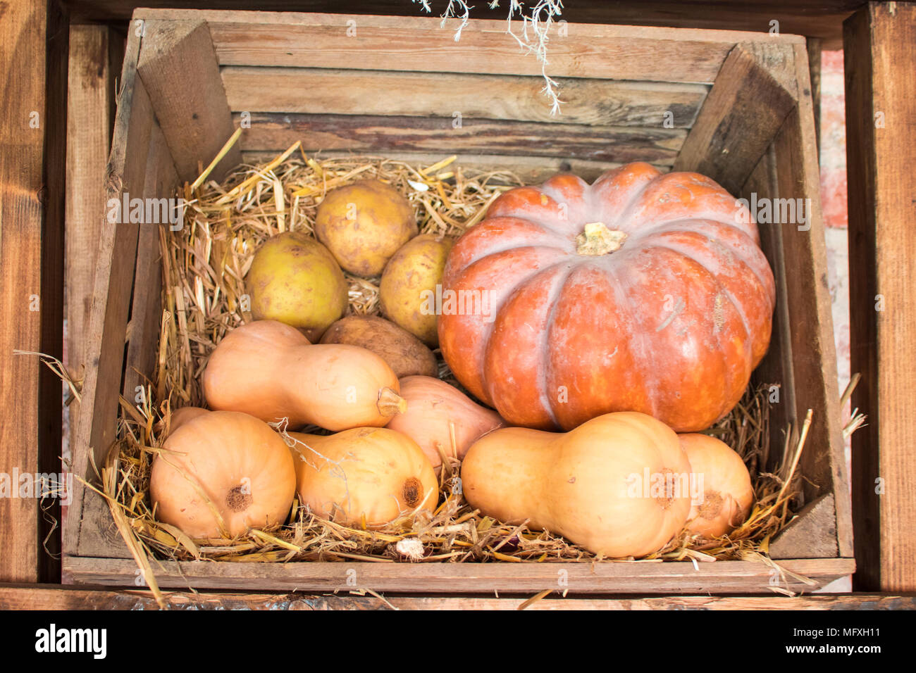 Traditional wooden farmer boxes with friuts and vegetables Stock Photo ...