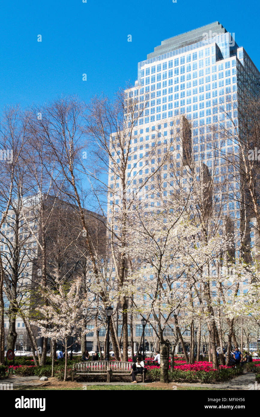 Battery park buildings and flowering trees hi-res stock photography and ...