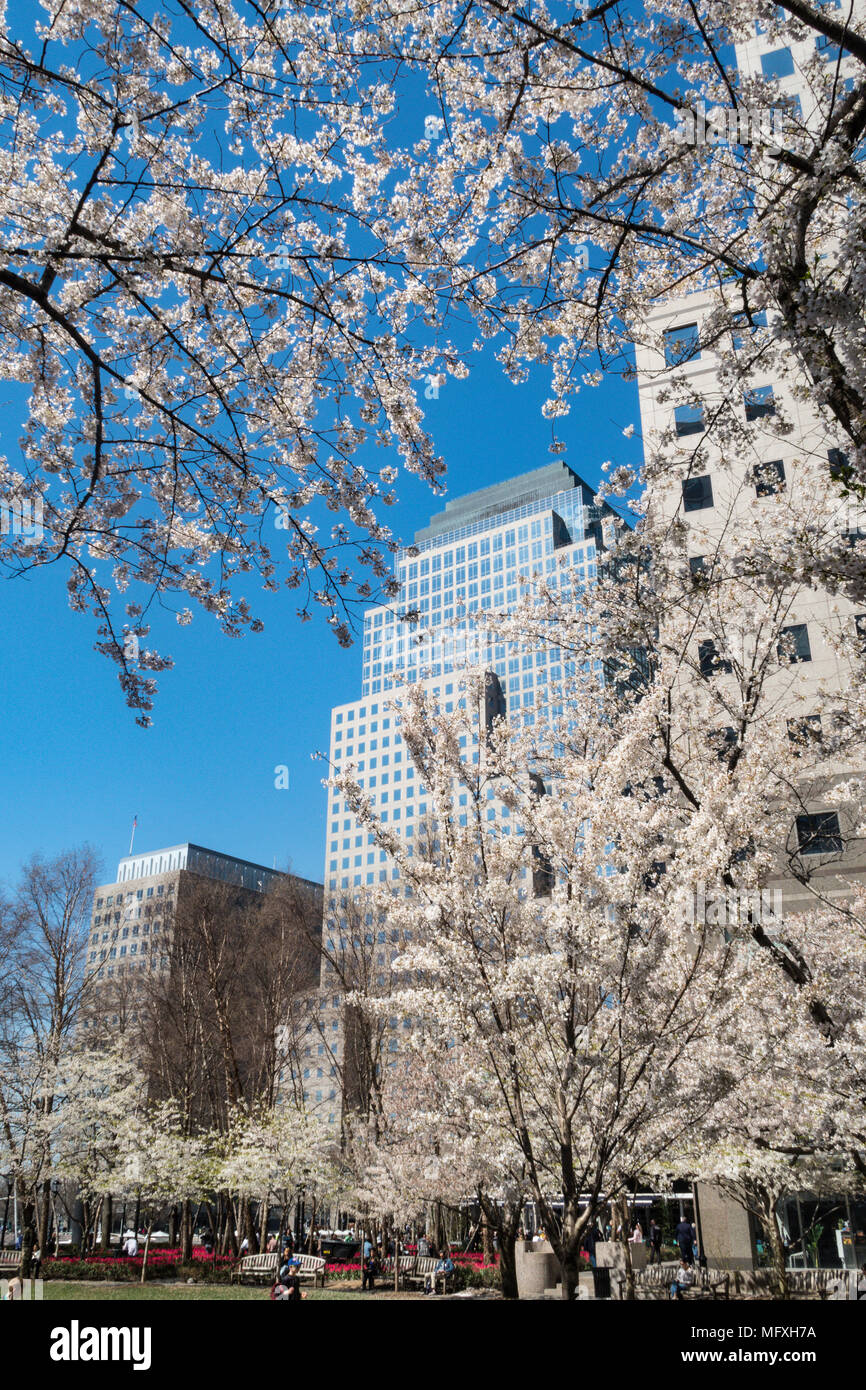 Battery park buildings and flowering trees hi-res stock photography and ...