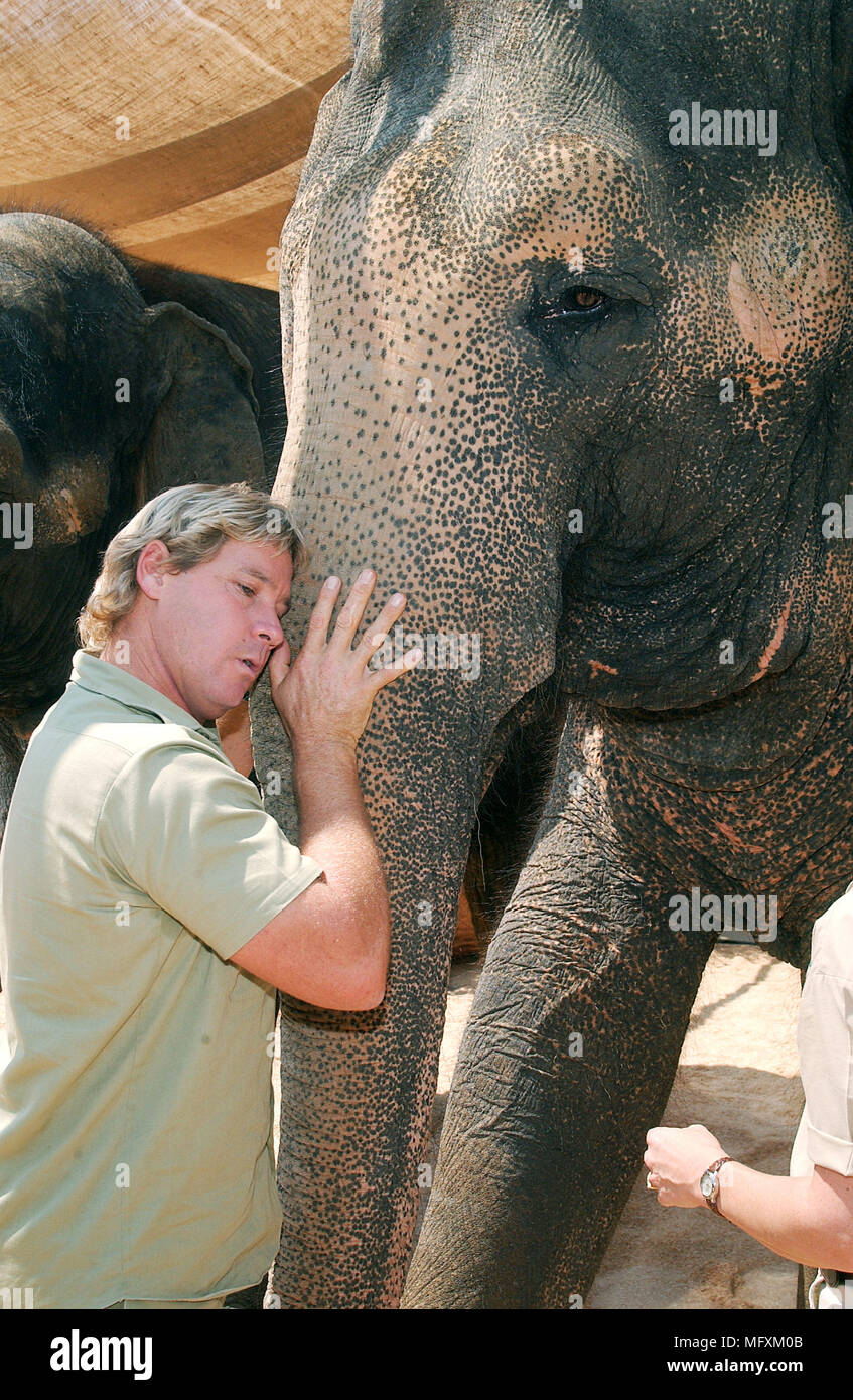 Steve irwin hi-res stock photography and images - Alamy