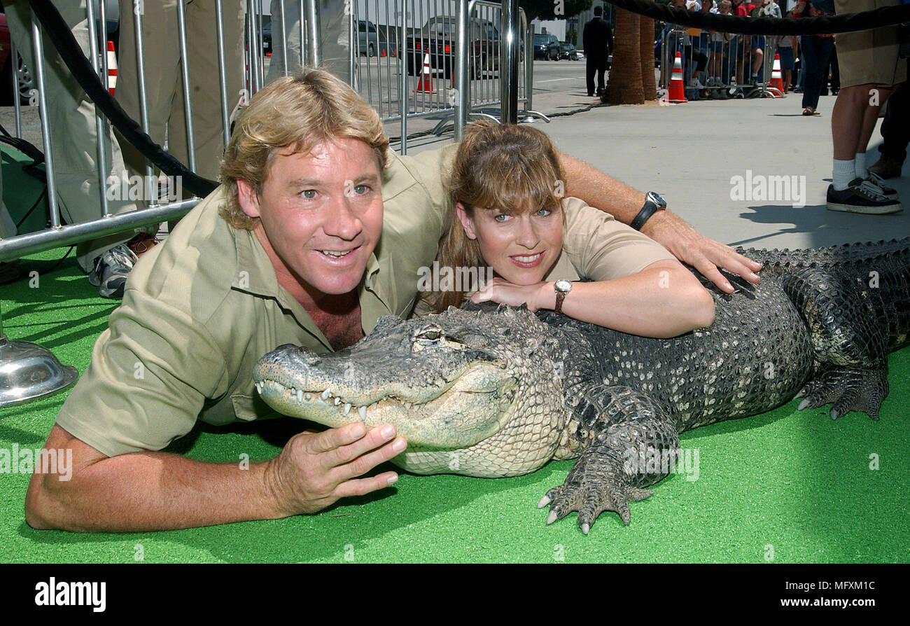Steve Irwin Terri Crocodile Stock Photos & Steve Irwin Terri Crocodile ...