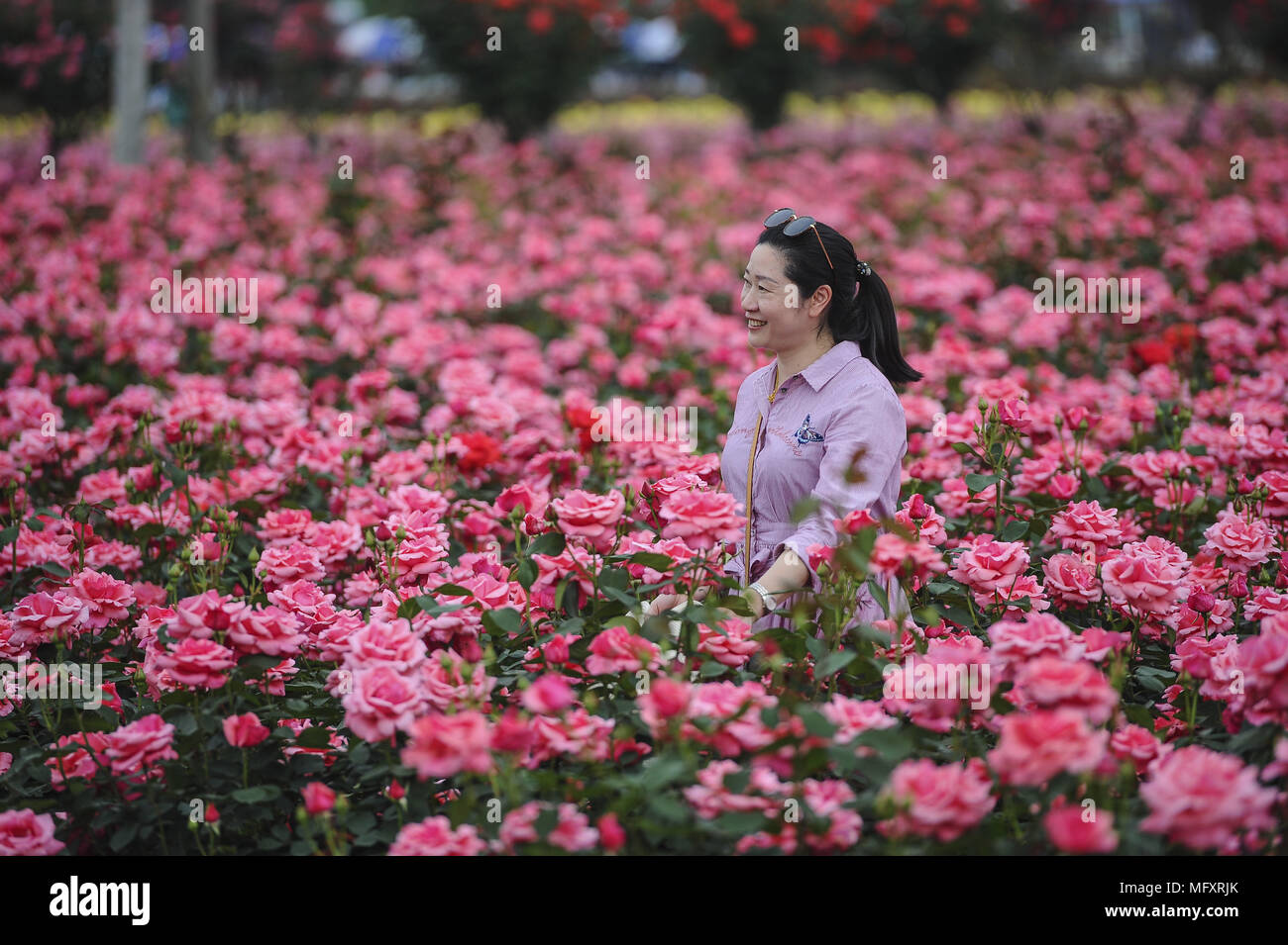 Hangzhou, Hangzhou, China. 27th Apr, 2018. Hangzhou, CHINA-27th April ...