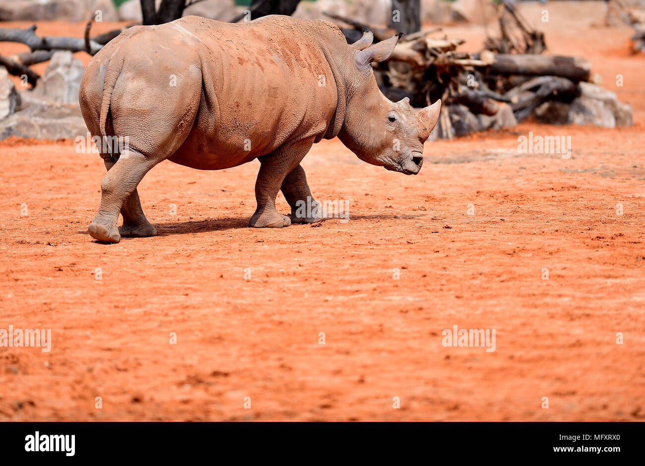 Shenyan, Shenyan, China. 26th Apr, 2018. Shenyang, CHINA-26th April ...