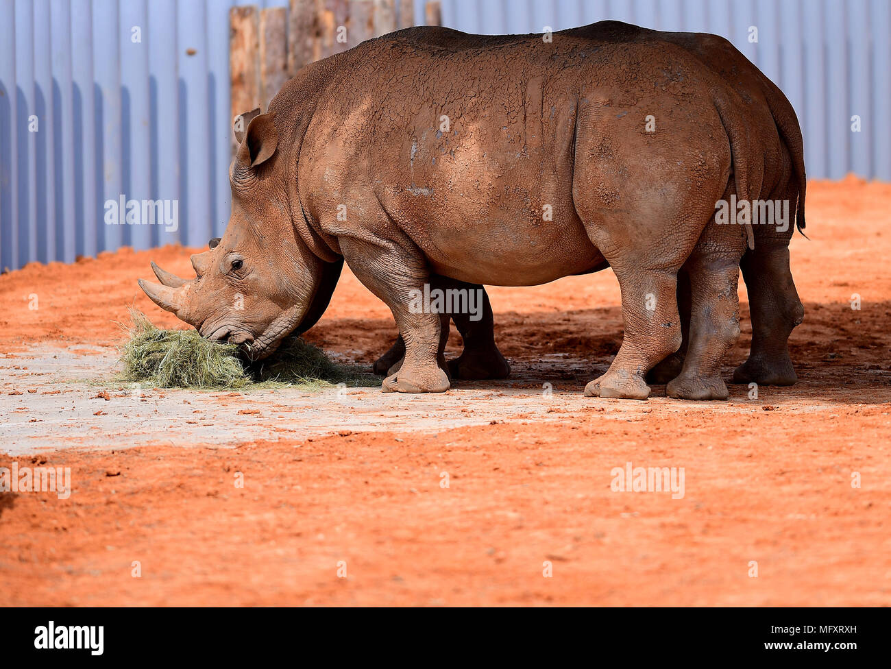 Shenyan, Shenyan, China. 26th Apr, 2018. Shenyang, CHINA-26th April ...