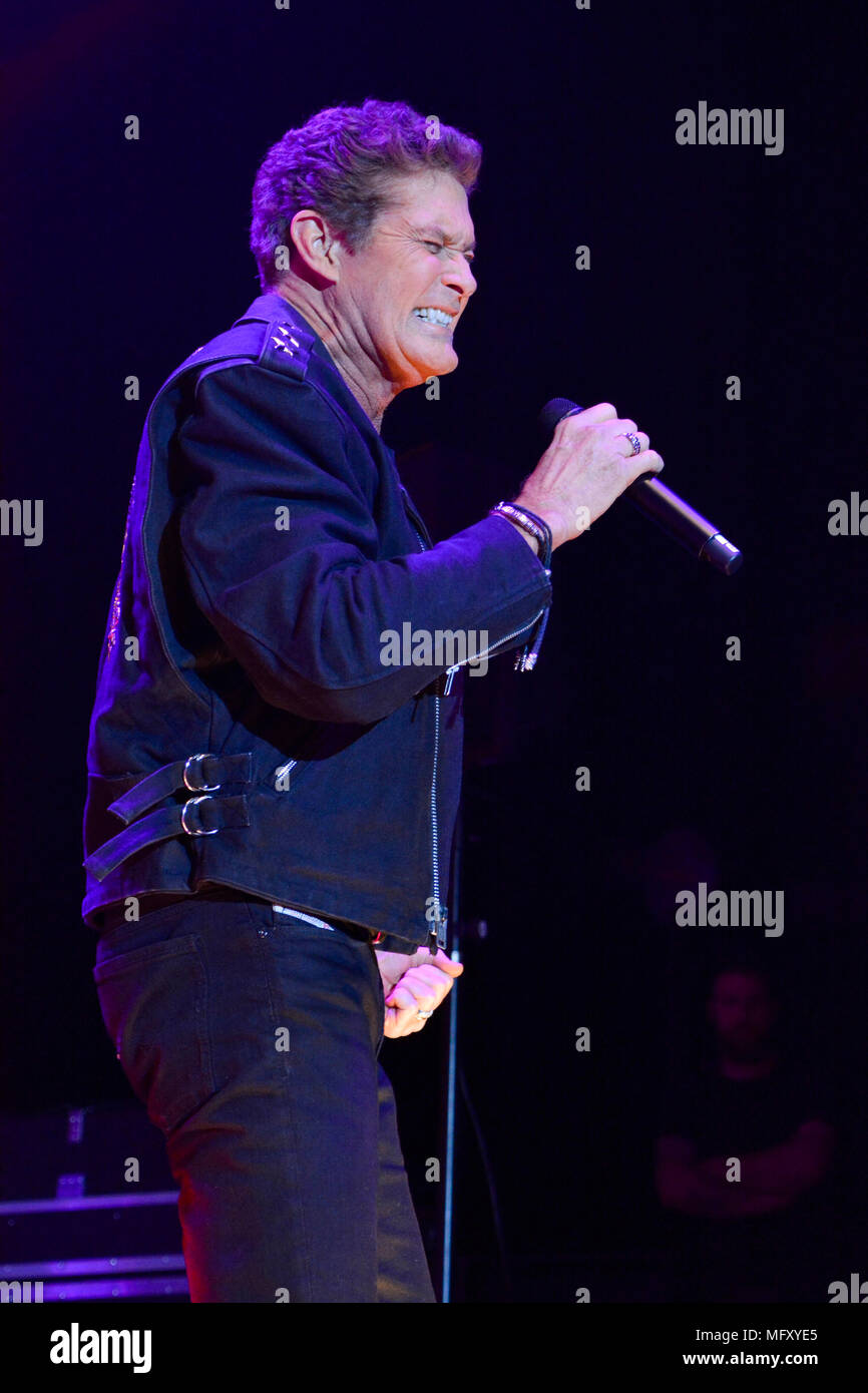 David hasselhoff on stage hi-res stock photography and images - Alamy