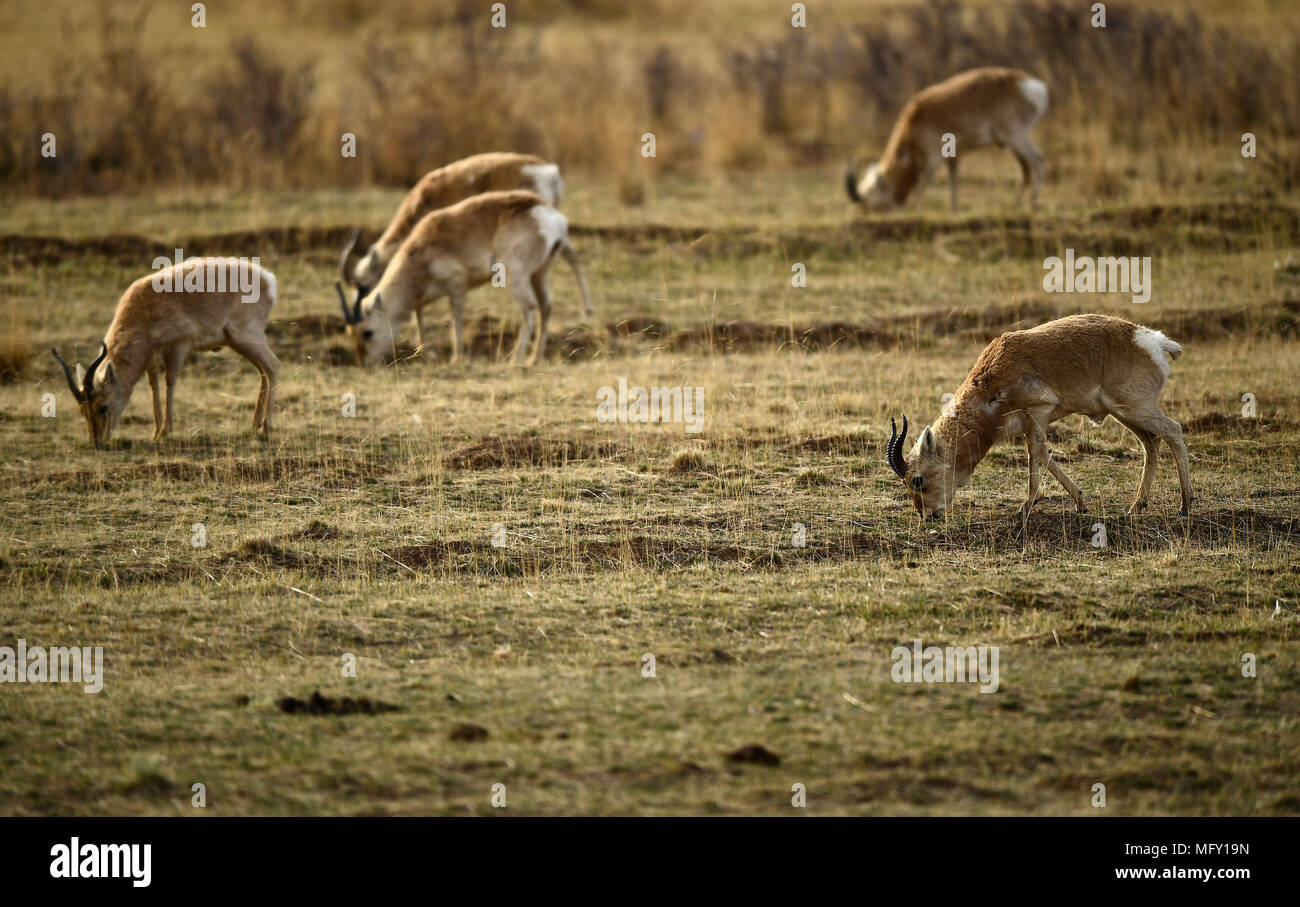 Number 1875 hi-res stock photography and images - Alamy